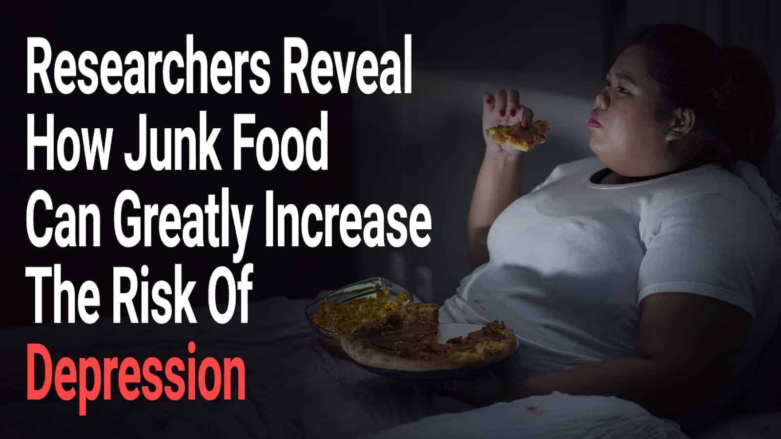 Researchers Reveal How Junk Food Can Greatly Increase The Risk Of ...